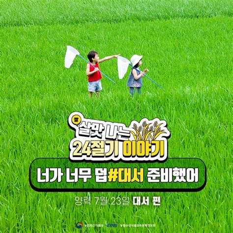 미소곡간 살쌀맛 나는 24절기 이야기 대서편 넘나 습하고☔️ 더운 여름🔥 본격적인 무더위