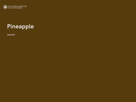 Pineapple Color 563c0d The Official Register Of Color Names