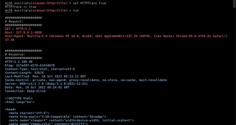 metasploit에서 debug 하기 hahwul