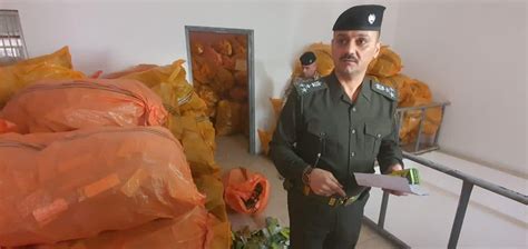 القضاء يوافق على اتلاف المخدرات والمؤثرات العقلية المحفوظة في الطب