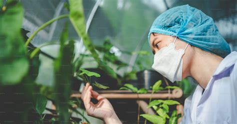 생물학 과학 실험실 유전 기술 과학 생태 연구 식물 성장 샘플 실험 검사 테스트에서 일하는 생명 공학 연구 과학자 사진 Unsplash의 산업 이미지