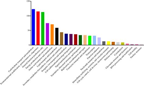 Histogram Of Cog Classification Of Deps Full Size Doi Download