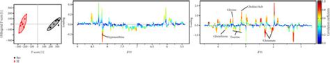Opls Da Based On ¹h Nmr Data From Brain Extracts Of All Groups Opls Da