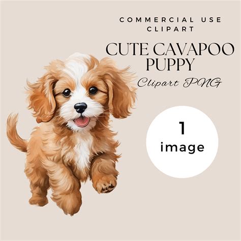 Cute Cavapoo Clipart Watercolor Single Image Digital Download