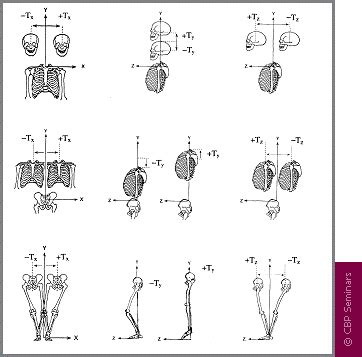 Back Range Of Motion Chart Ponasa