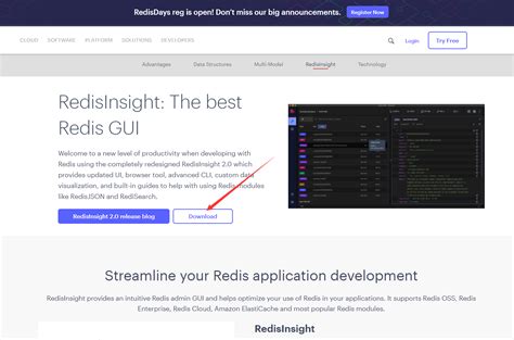 Redisinsight 可视化工具安装redisinsight下载 Csdn博客