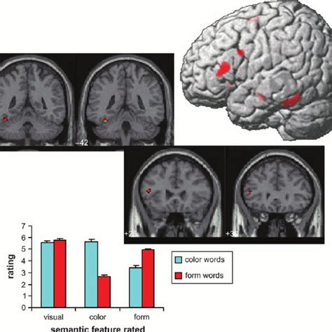 Cortical Activation During Passive Reading Of Concrete Words