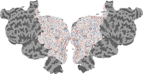 plot a 2d static flatmap — pycortex 1 2 4 documentation