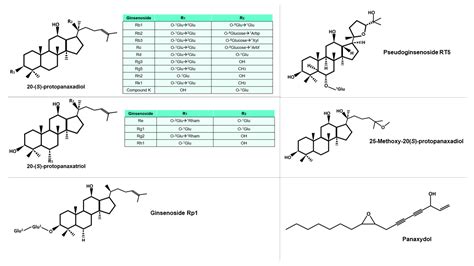 Immunomodulatory Anti Inflammatory And Anti Cancer Properties Of Ginseng A Pharmacological Update