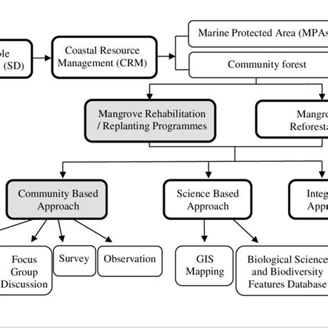 5 The Framework Of Mangrove Rehabilitation Programme Through Community