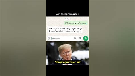 Girl Programmer 🤣 Shorts Viralshorts Funny Programming Coding