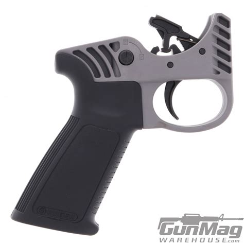 Ruger Elite Trigger Assembly Module