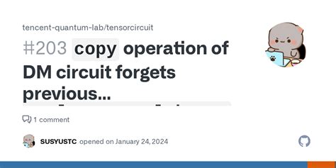 `copy` Operation Of Dm Circuit Forgets Previous `applygeneralkraus` Operations · Issue 203