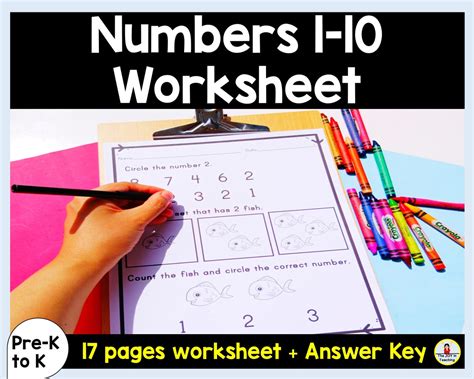 Numbers Assessment Worksheet Numbers Etsy