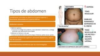 Examen Físico De Abdomen Pptx
