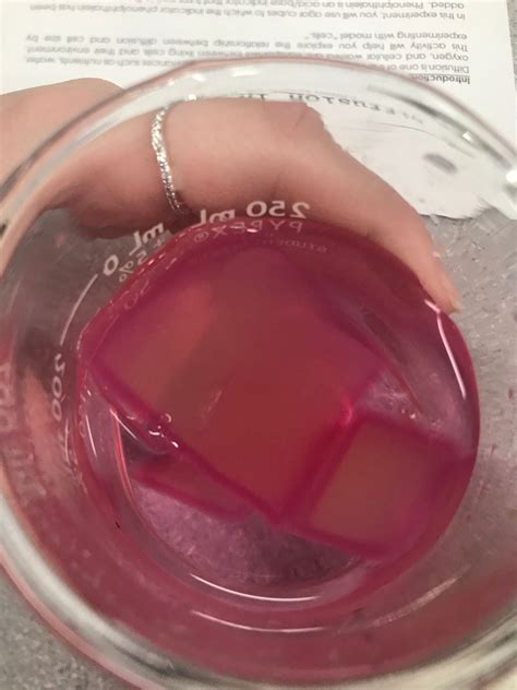 Diffusion In Agar Cubes Ashiana S Blog Diffusion In Agar Cubes Ashiana S Blog