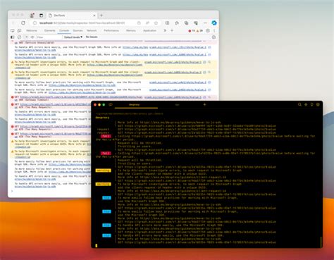 Dev Proxy V013 With New Guidance And Inspecting Web Requests