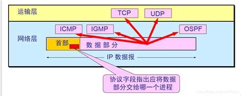 ping的原理的解析和 icmp协议 网络工具 icmp ping row csdn博客