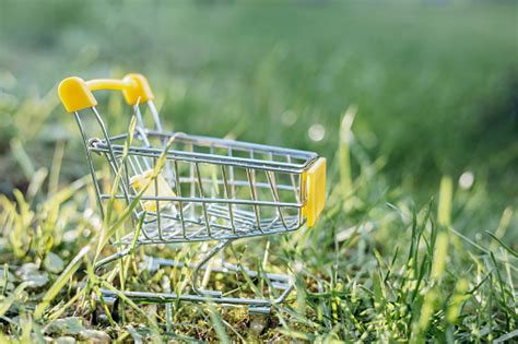 지속 가능한 소비 녹색 잔디 배경에 빈 쇼핑 카트 제로 폐기물 개념 공간을 복사합니다 0명에 대한 스톡 사진 및 기타 이미지 Istock