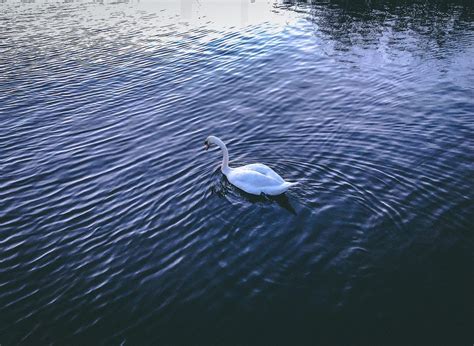 Muhammad Junaid At Patron Hunt — Discover Your Next Favorite Indie Creator