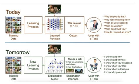 Explaining The Explainable AI Part Predactica