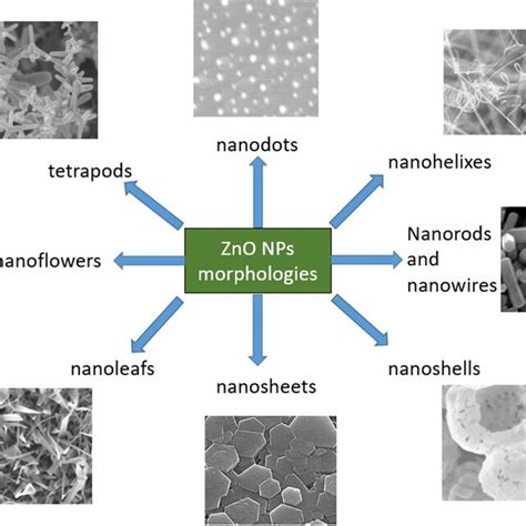 Different Morphologies Of Zno Nps Download Scientific Diagram
