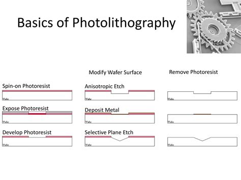Protein Dna Mapping Using An Afm Ppt