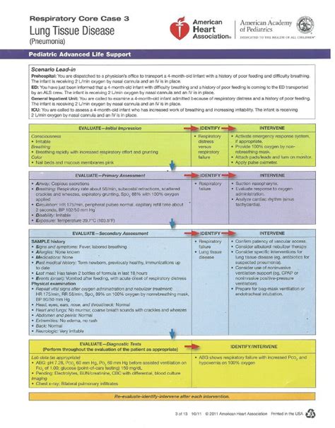 Pals Core Case 3 Respiratory Lung Tissue Disease Aspiration Pneumonia
