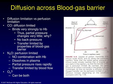 Ppt Chapter 5 Diffuse Interstitial Pulmonary Fibrosis Powerpoint Presentation Id 6401261