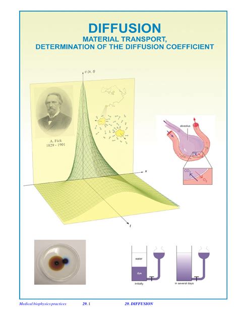 Diffusion Pdf Diffusion Brownian Motion