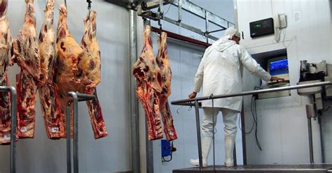 Hist Rico El Consumo De Carne Lleg A Su Nivel M S Bajo En A Os Infobae