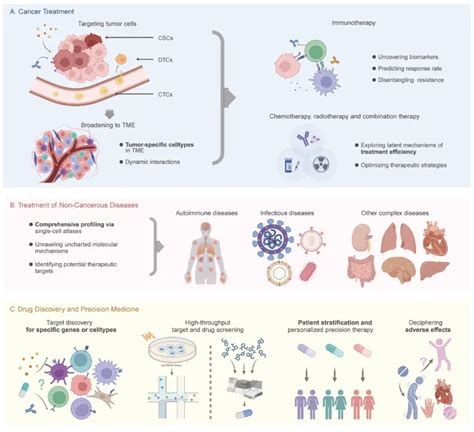 Science China Life Sciences 单细胞及空间组学前沿应用综述解读 知乎
