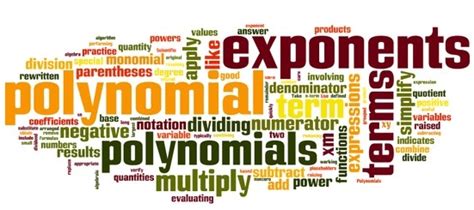 Polynomials Multiplicity Zeros Equations 9th 12th Grade Quiz Quizizz