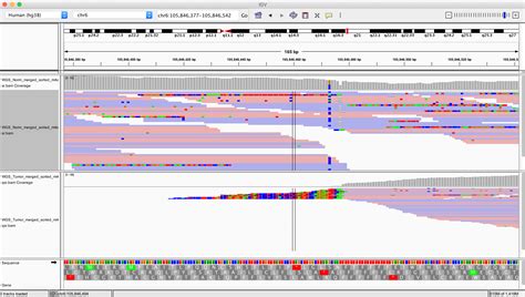 Somatic Cnv Filteringannotationreview Griffith Lab