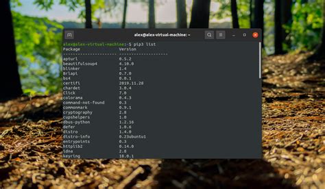 Ubuntu установить Pip для Python