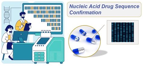 Sequence Confirmation For Nucleic Acid Drugs Nucleic Acid Formulation