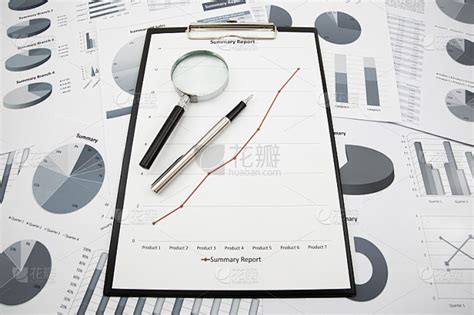 业务图表分析报告