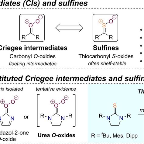 A Preparation And Structure Of Criegee Intermediates In Comparison To