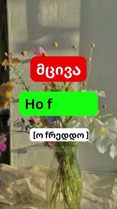 ფრაზები იტალიურად Youtube