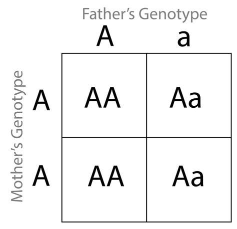6 11 Calculating The Odds Of Inheritance Introduction To The