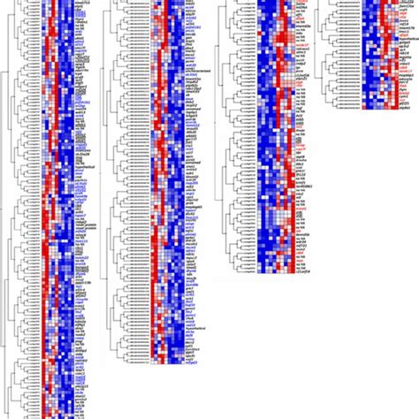Hierarchical Clustering Analysis Of Transcripts Differentially