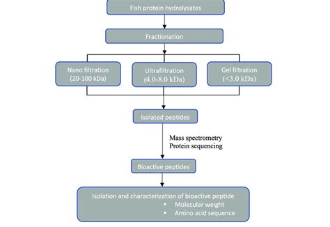 Schematic Diagram Of Procedures For Isolation And Characterization Of