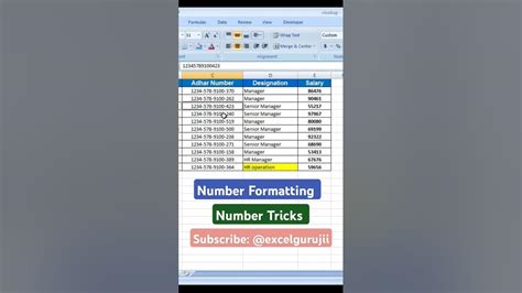 Number Formatting In Excelexcel Exceltips Exceltutorial Adhar In