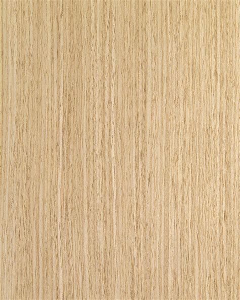 Oak Wood Texture