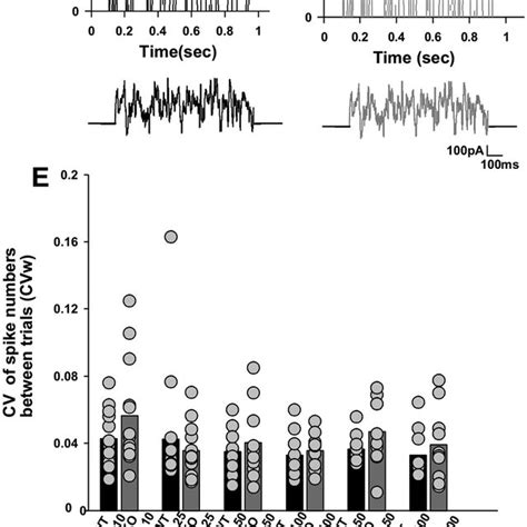 Increased Spike Variability And Spike Timing Imprecision Download Scientific Diagram