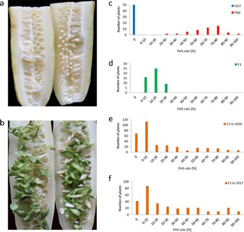 Pre Harvest Sprouting Phs And Its Frequency Distribution In The Download Scientific Diagram