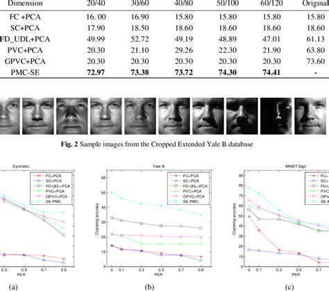 average accuracy on the synthetic dataset with different feature