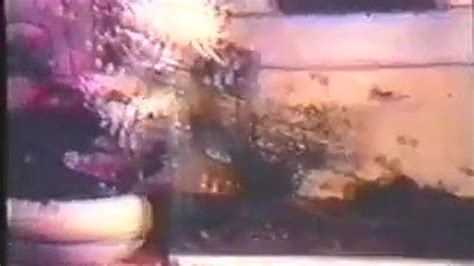 A Quinta Dimensao Do Sexo