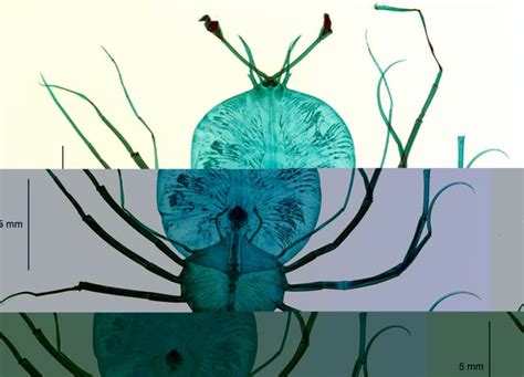 Glitch 4 R Scientificart