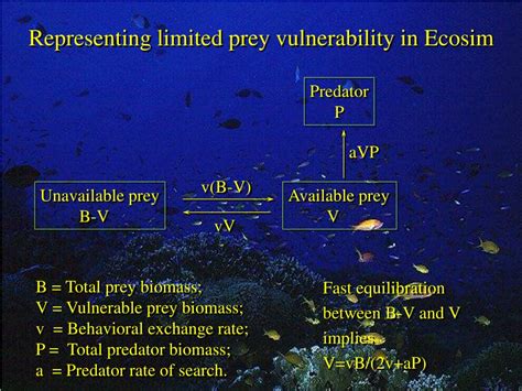 Ppt A Brief Introduction To Ecosystem Modeling Using Ecopath With